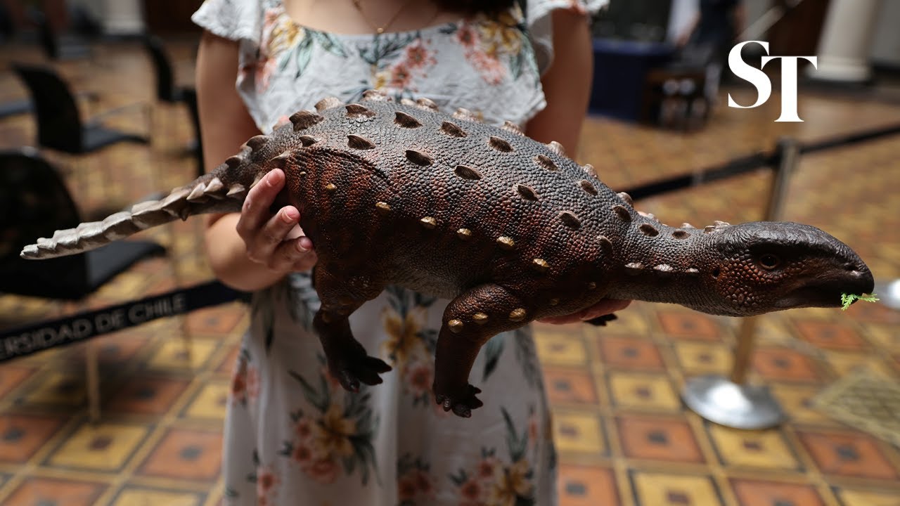 New armoured dinosaur from Chile had a tail resembling an Aztec weapon ...