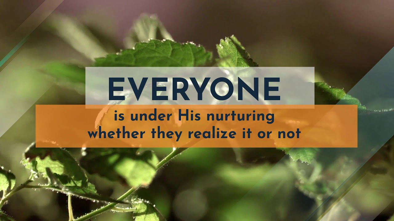 02- Living with AR RABB - YouTube