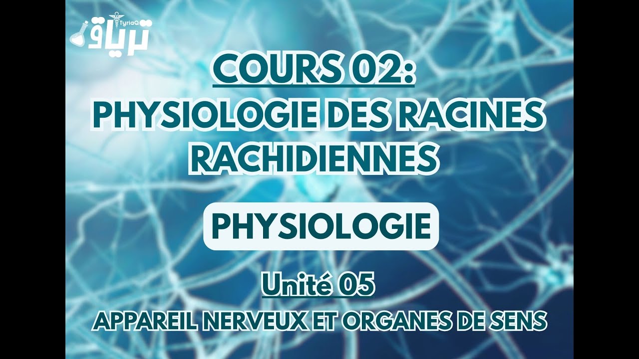 #physiologie 2ème année - Unité #neurologie : Physiologie des Racines ...