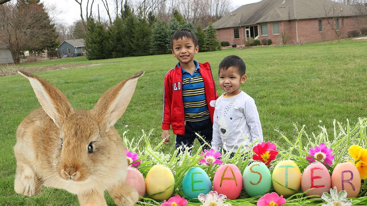 Bunny and Easter Eggs in Midwest - YouTube