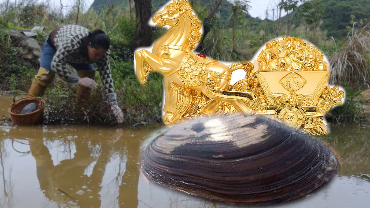 The pearl hunter bloomed sparkling pearls in the giant mutated pearl ...