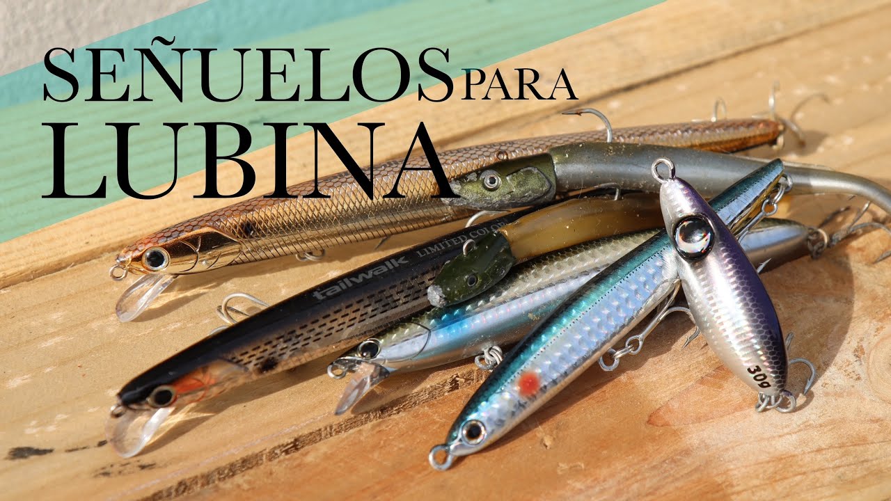 5 SEÑUELOS para PESCAR LUBINA en INVIERNO - YouTube