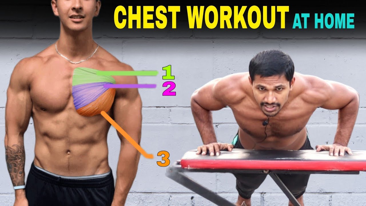 5 Best Pushups For Bigger Chest at Home || Chest Workout at Home 🔥 ...