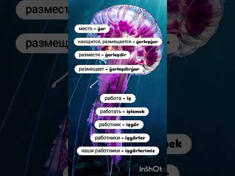 15 # rus dili türkmençe, sapak # amaly kurs # turkmen rus dilini owrenmek #rusdili #rusçasözlük