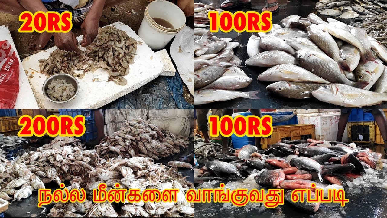 Vanagaram Fish Market நல்ல மீன் வாங்குவது எப்படி - YouTube