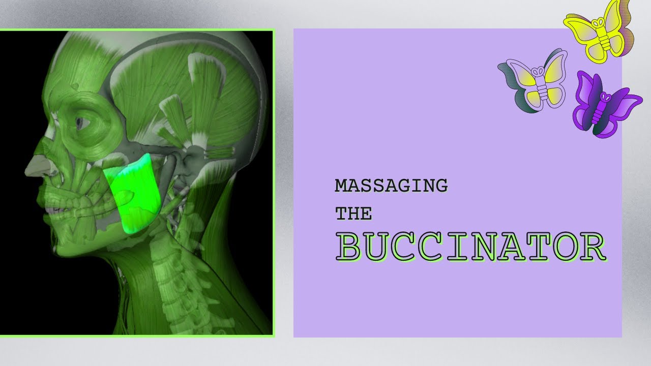 Massaging the Buccinator - YouTube