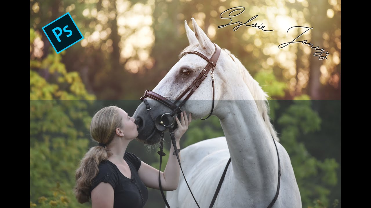 Speed photo edit (Equine photography) - YouTube