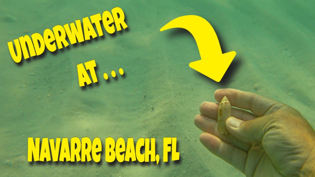SNORKELING And SHELLING, Navarre Beach, Florida - YouTube