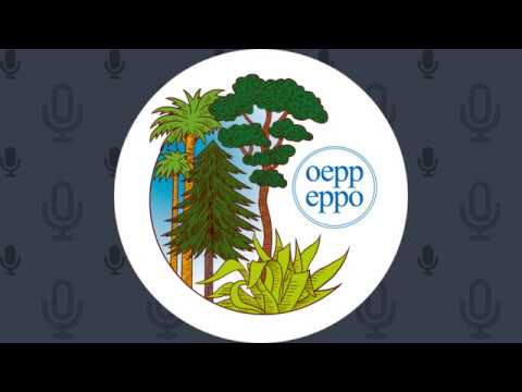 Webinar for the EPPO Codes Users - YouTube