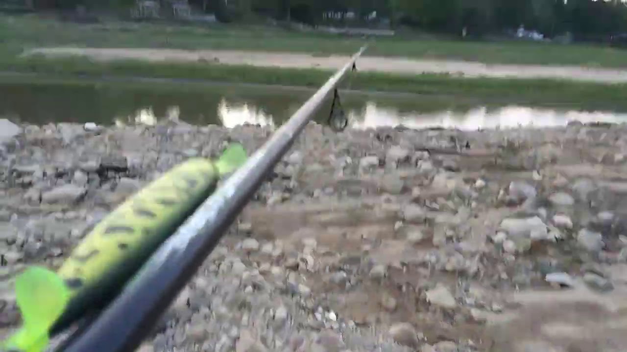 Lake turned river...makes the fish quiver - YouTube