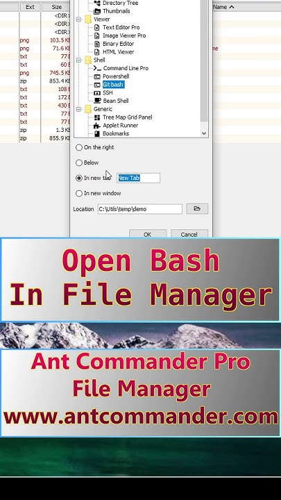 Open Bash on Window in File Manager #bash #filemanager - YouTube