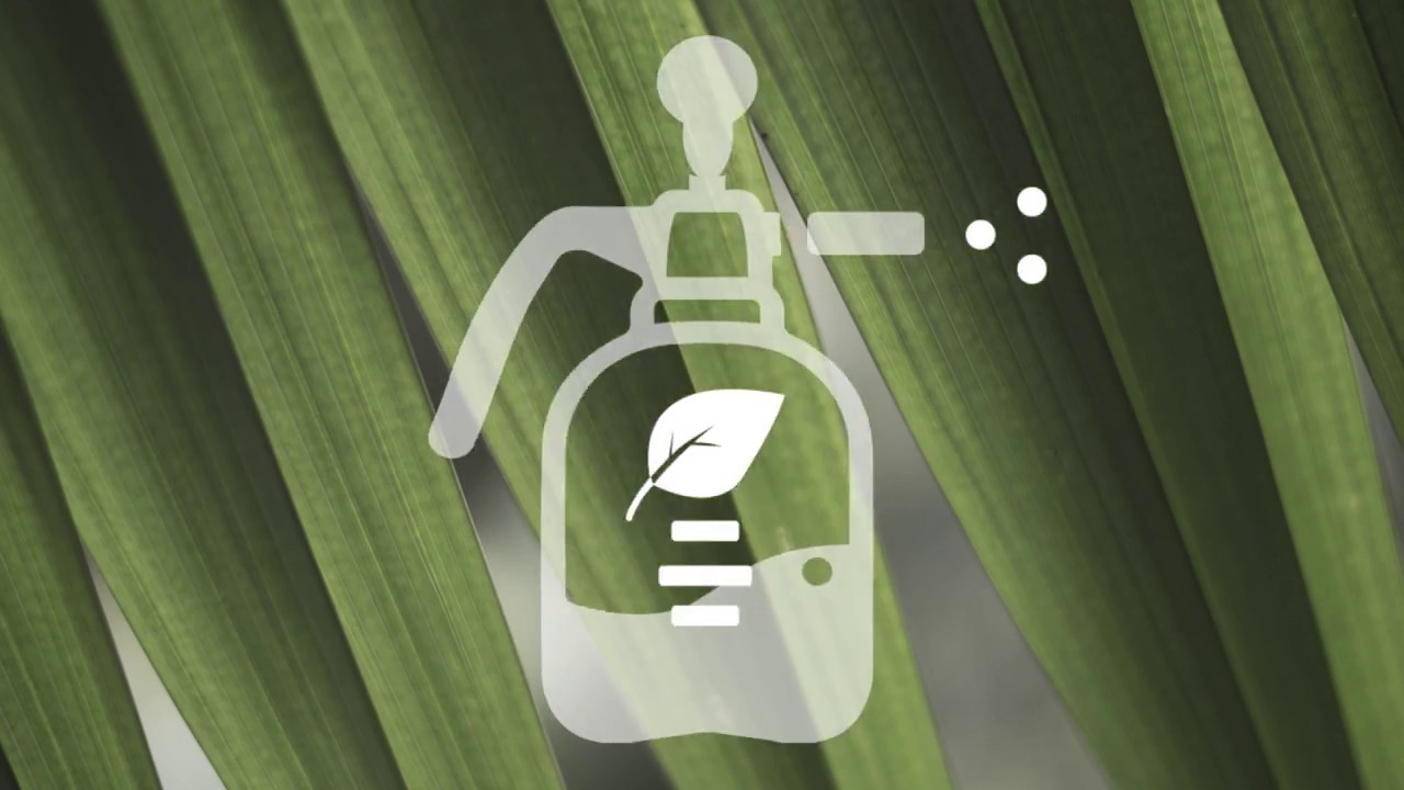 Mahi Spray video HACC 2018 - YouTube