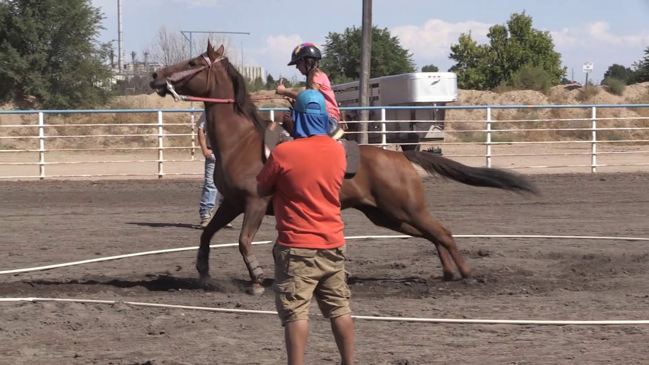 2019, Keyhole Race, Greeley Saddle Club - YouTube