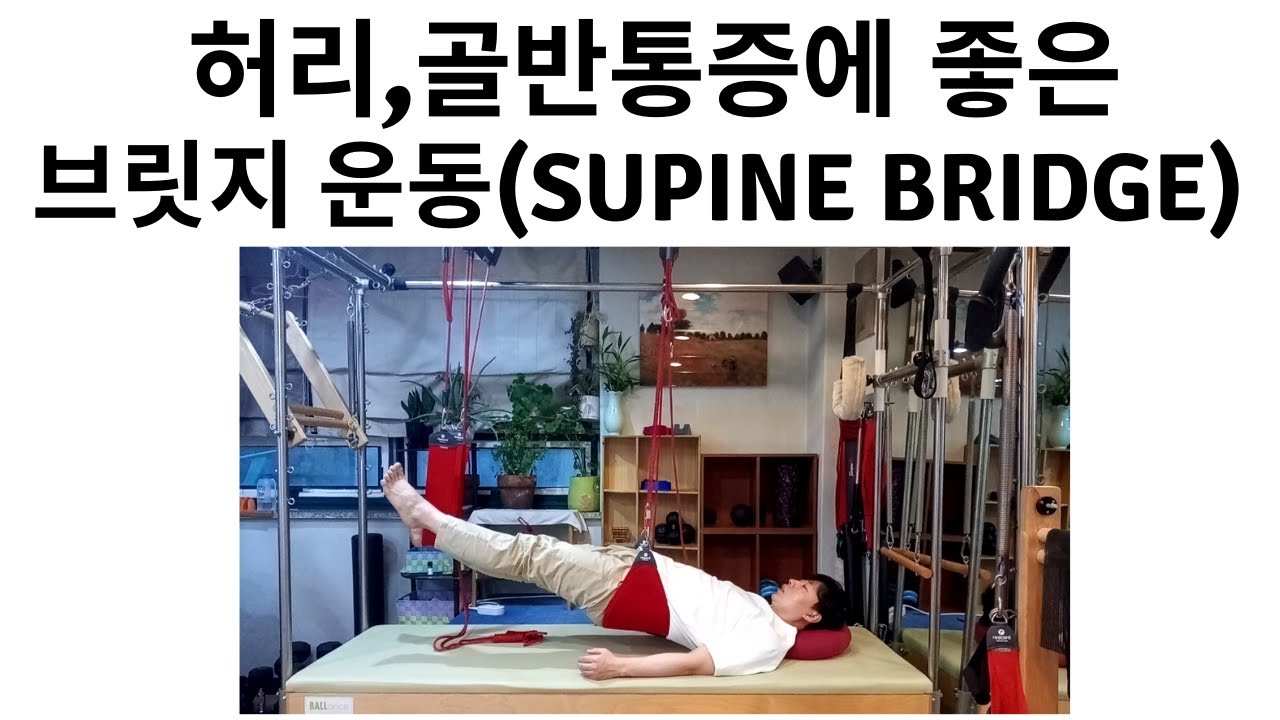 브릿지 운동(redcord neurac supine bridge)-허리통증,골반통증에 효과적인 슬링운동치료 - YouTube