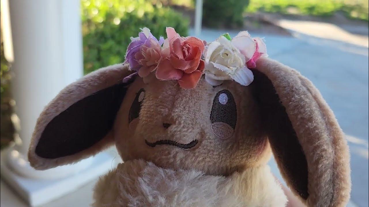 #wow #now eevee tried to eat at Bentley - YouTube