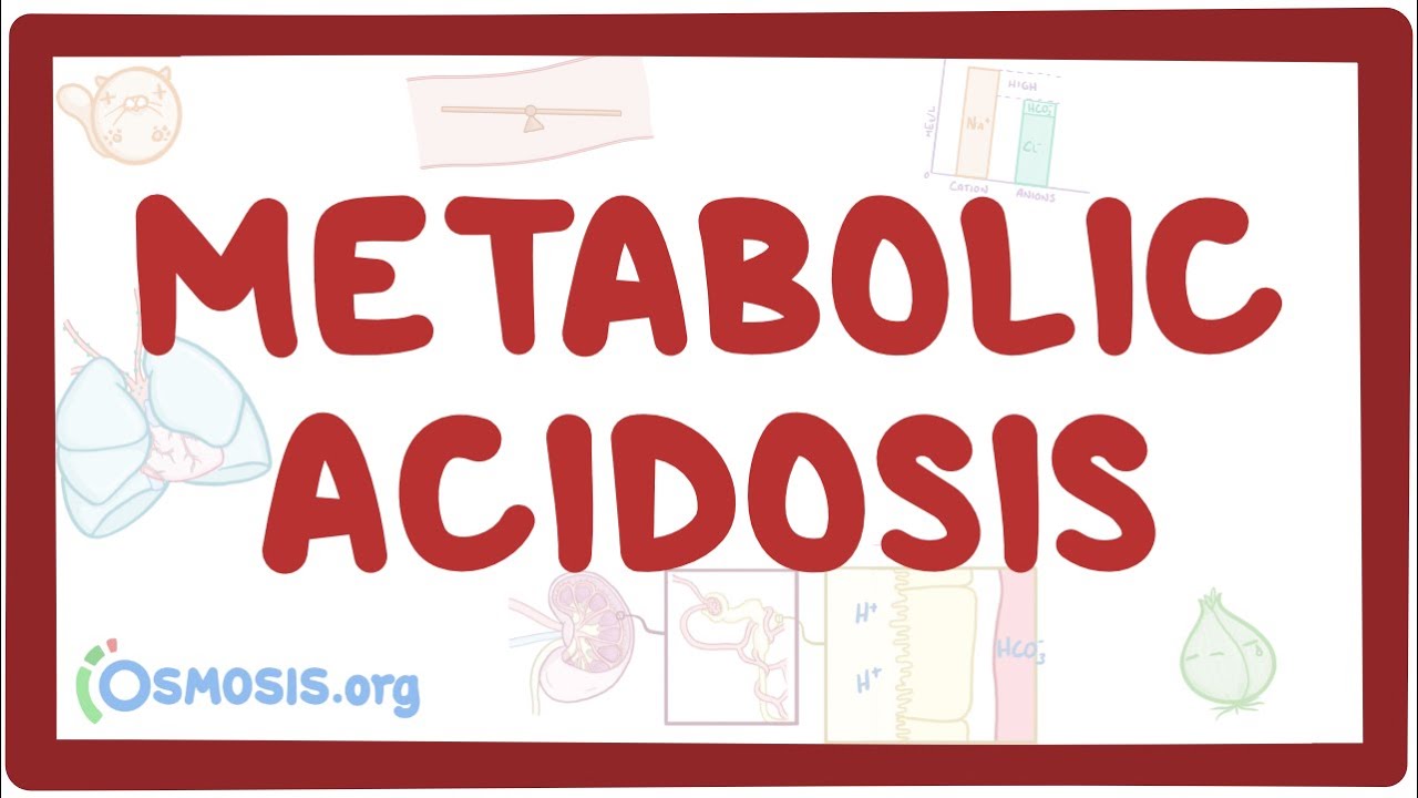 Metabolic acidosis - causes, symptoms, diagnosis, treatment, pathology ...