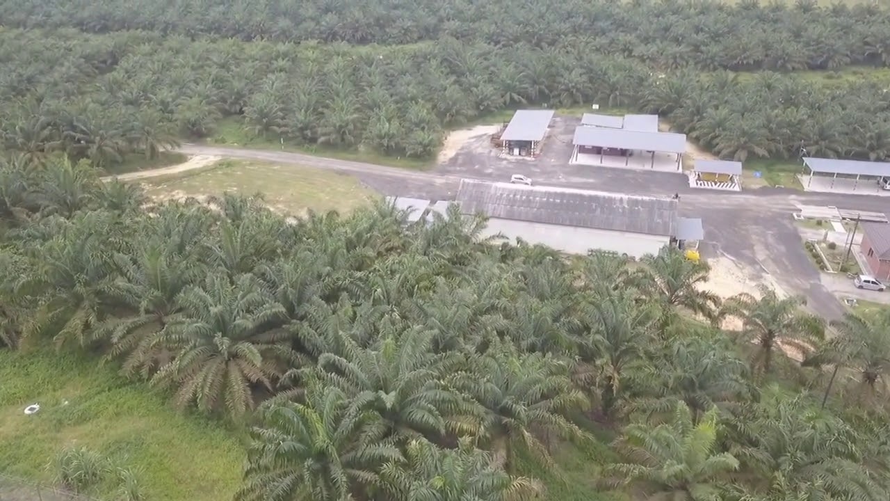 5 October 2020 - YouTube