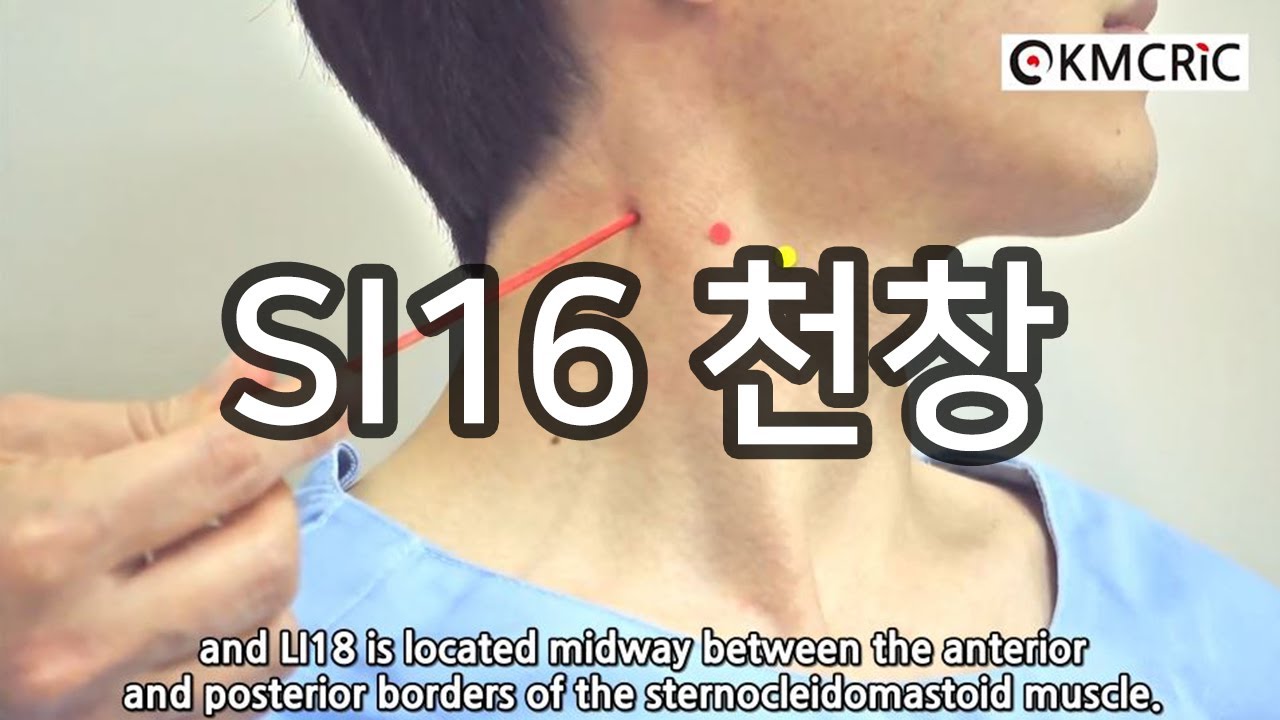SI16 천창 天窓 Tianzchuang (Eng sub) - KMCRIC WHO Standard acupoint DB ...