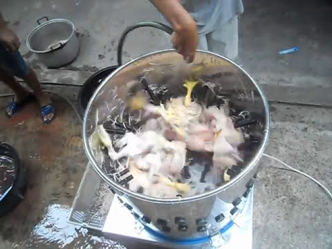 Mesin Cabut Bulu Ayam Bahan Stainless Tebal ( Whatsapp 081392771600 )