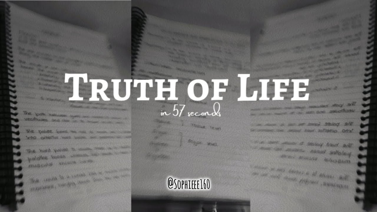 Truth of Life in 57 seconds REALITY 😔 - YouTube