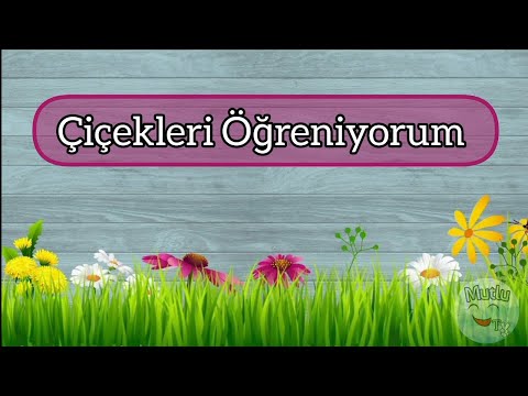 Çiçekleri Tanıyalım - Çiçeklerin İsimleri - Çocuklar İçin Eğitici Öğretici Video - Learning Flowers