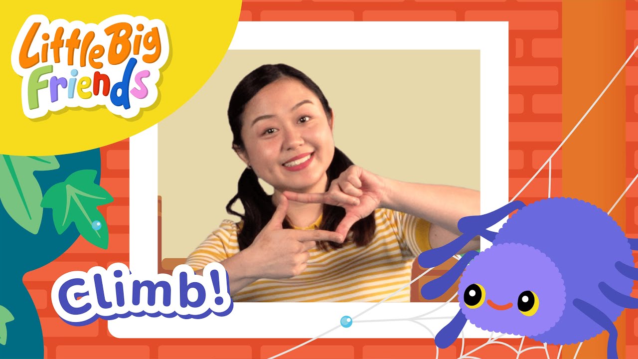 Itsy Bitsy Spider Hand Exercise for Kids 🕷 | Learn With Me, Teacher Bee ...