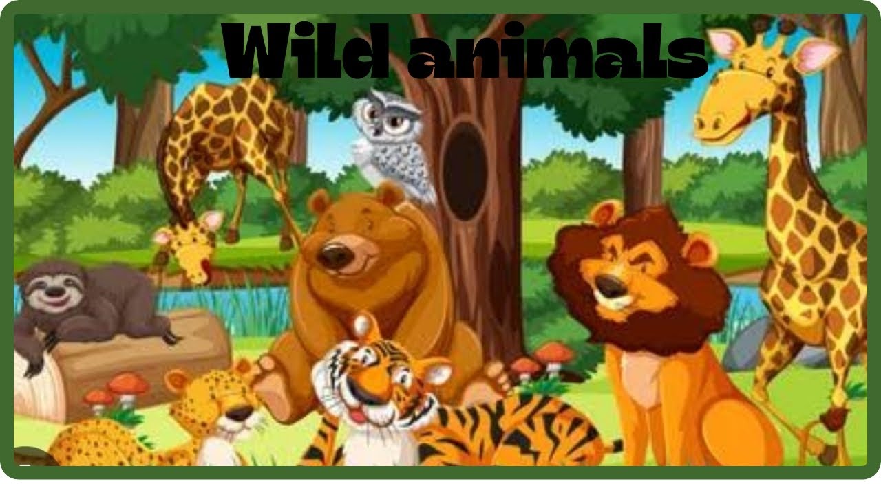 wild animals | name of wild animals| wild animals with real picture ...