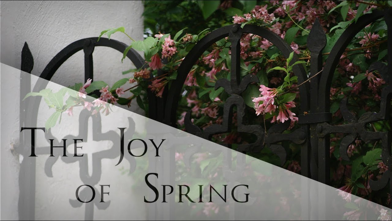 The Joy of Spring - YouTube