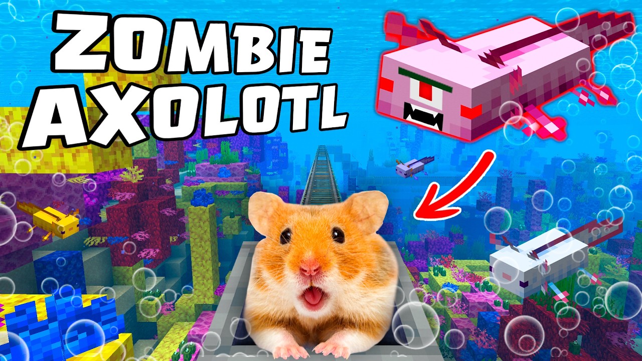 HAMSTER Takes on Minecraft Pool Maze Challenge! - YouTube