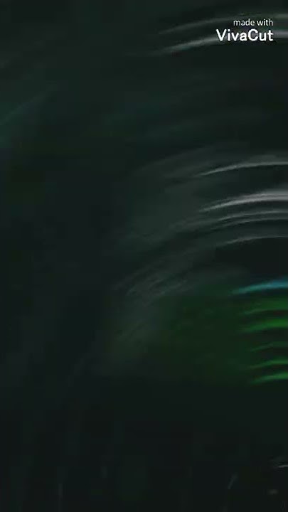 💻coding whatsapp status|| Every programmer life status||programing status #shorts #spststus # ...