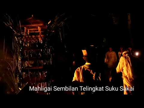 Mahligai sembilan telingkat suku Sakai..salam riau kabupaten Siak,minas, mandiangin:))