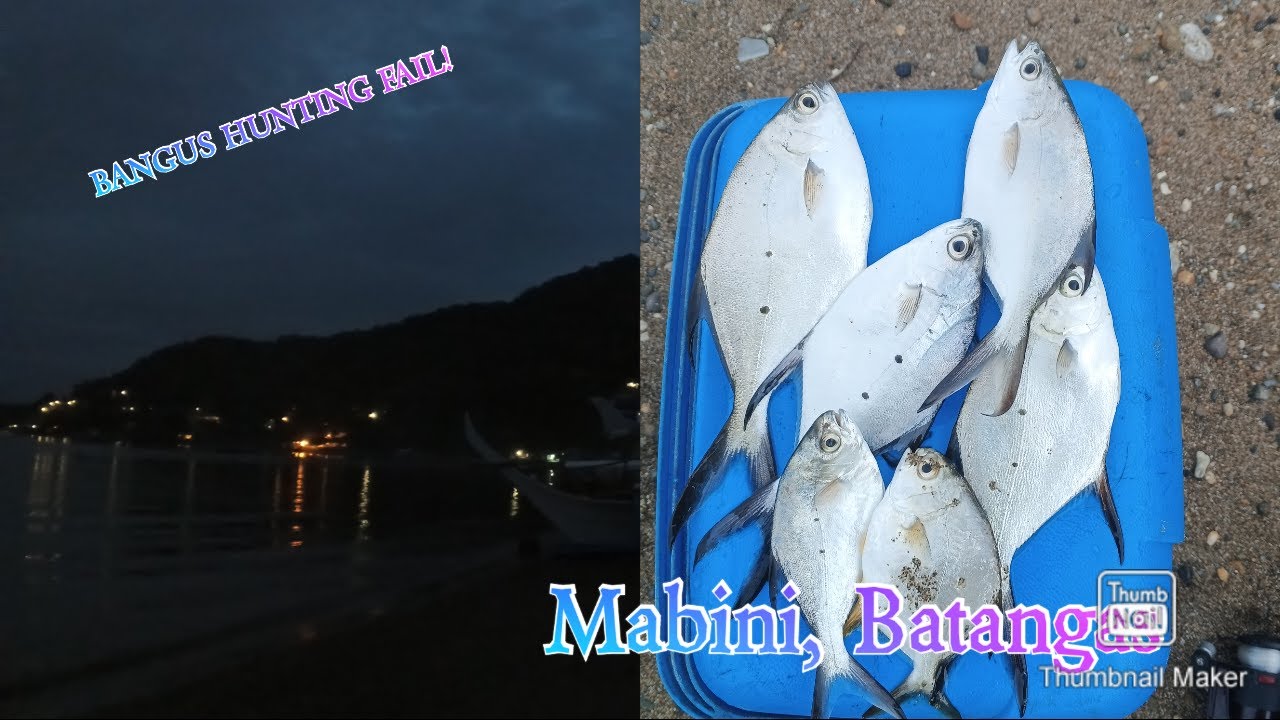 EP1: Catch and Cook fish in Mabini Batangas - YouTube