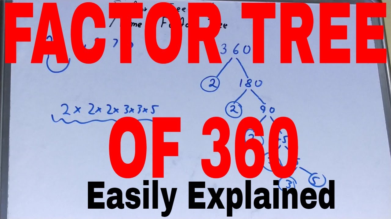 Factor Tree Of 360 How To Draw Factor Tree Of 360 Find Factor Tree Of factor-tree-of-360-how-to-draw-factor-tree-of-360-find-factor-tree-of
