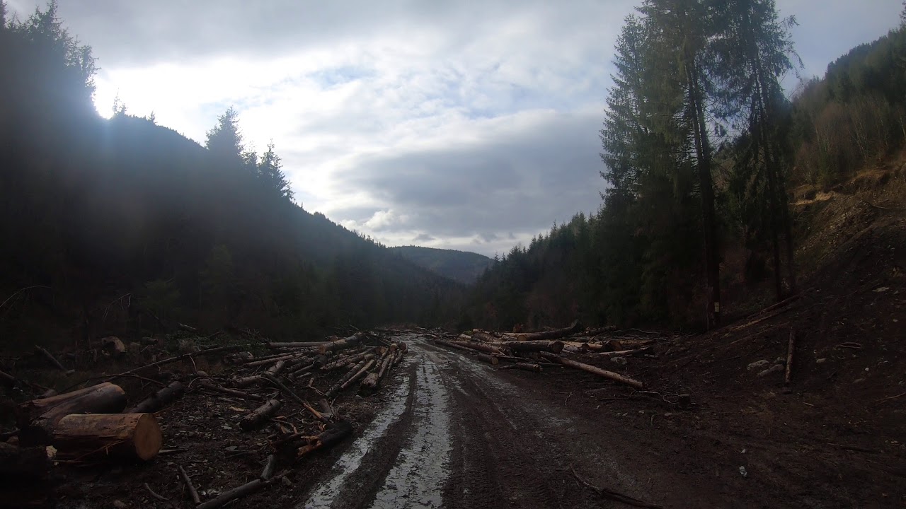 Valea Draganului offroad atv - YouTube