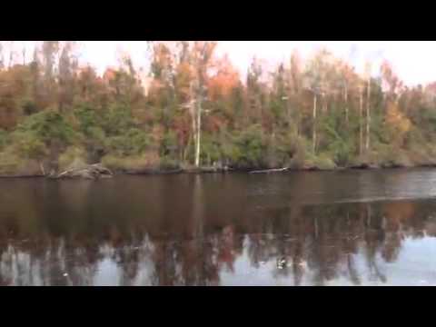 Pungo River Alligator River Canal - YouTube