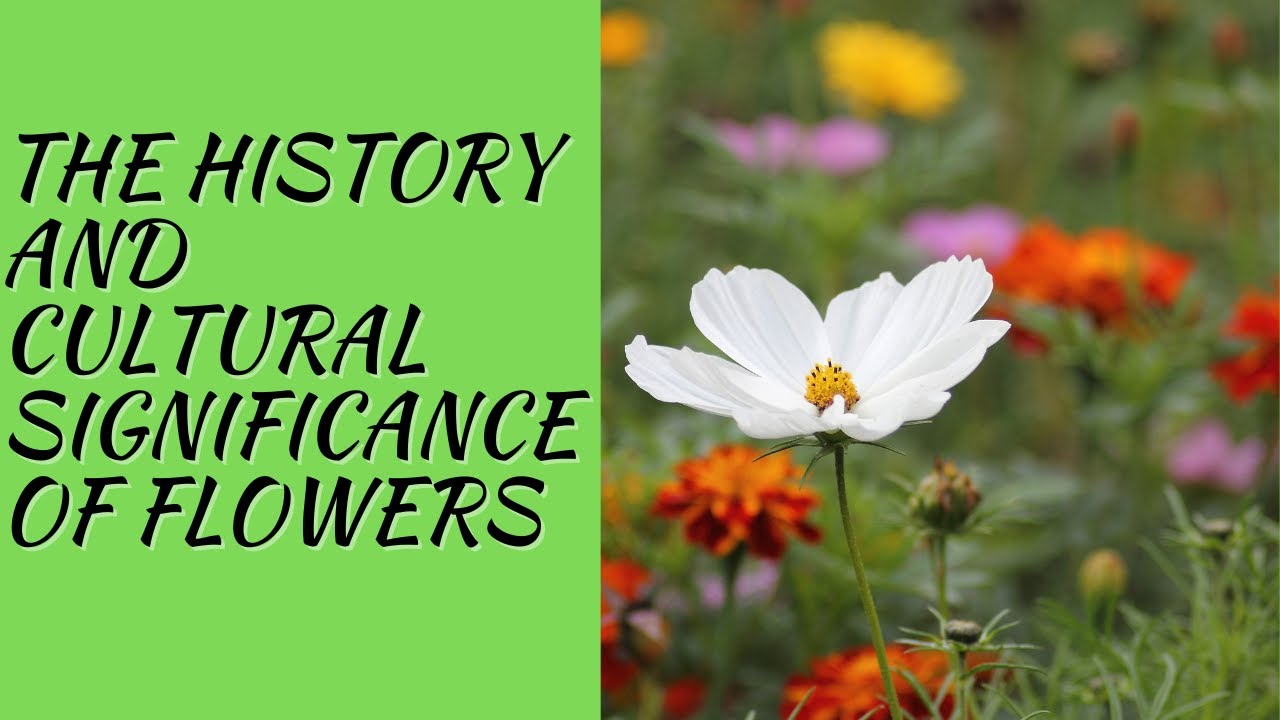 The History and Cultural Significance of Flowers - YouTube