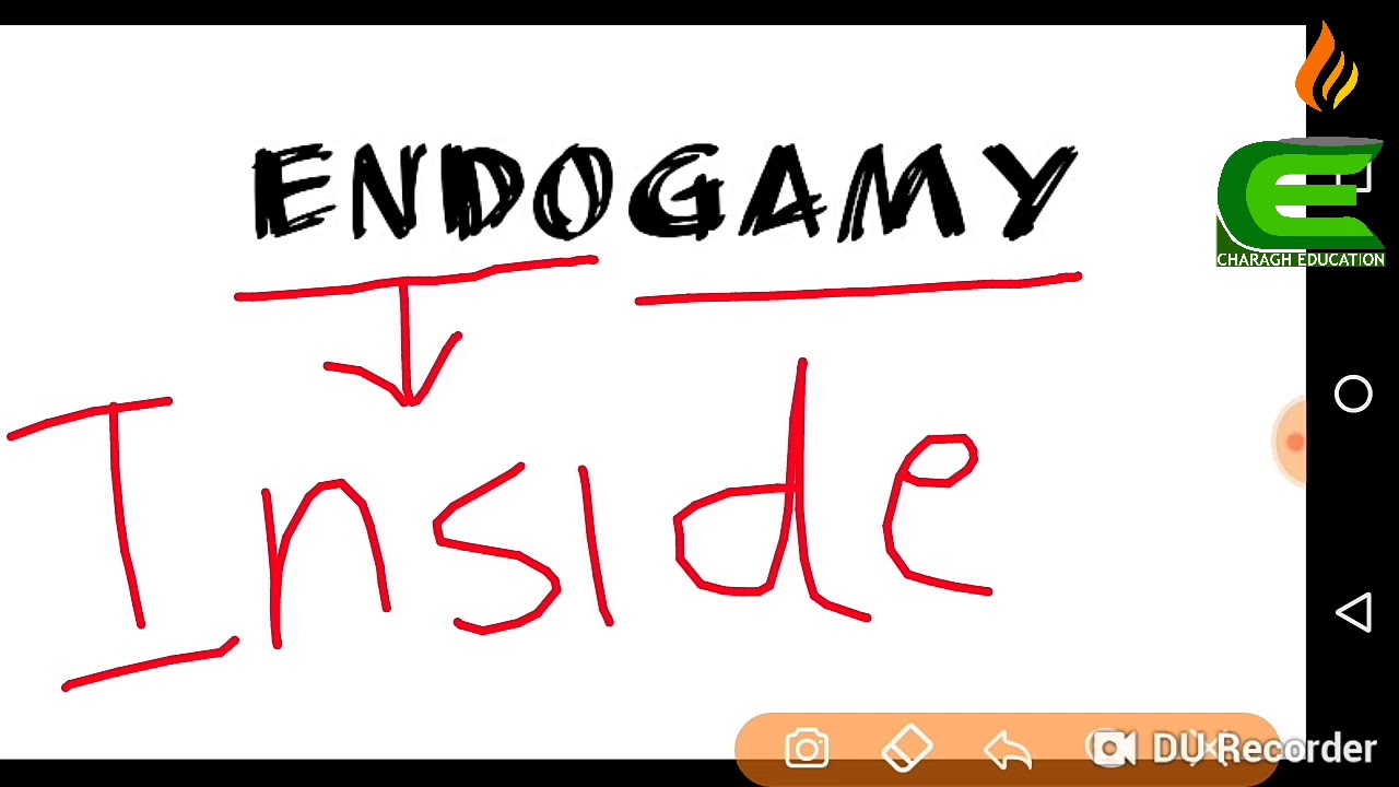Exogamy and endogamy simply explained in Hindi/Urdu - YouTube