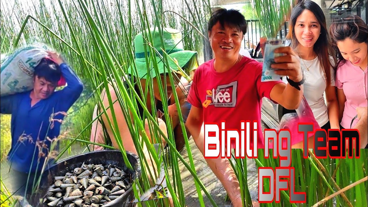 Isang Sako na Bagungon Binili ng Team DFL Magkano kaya Ang Kinita ng Team KMA? - YouTube