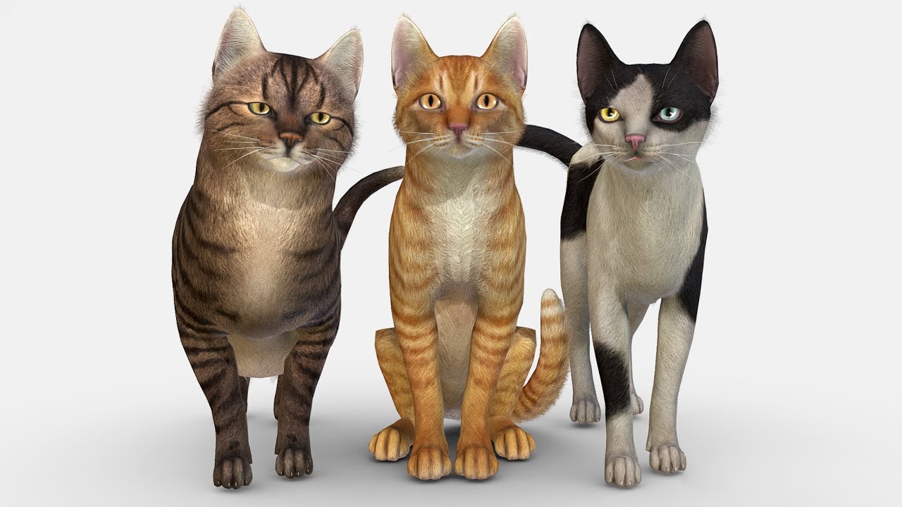 Cats Pack Demo - YouTube