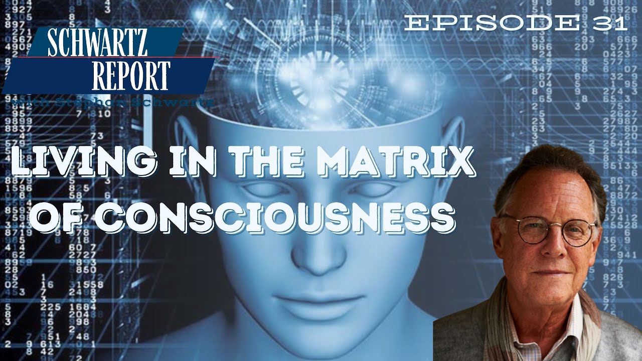Living in the Matrix of Consciousness | Schwartz Report Episode 31 ...