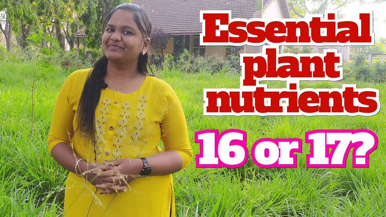 Essential plant nutrients 16 or 17? | Which is correct? | Arnon & Stout ...