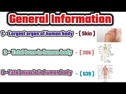 Human General information||Human Anatomy ||#nursing 2025 - YouTube