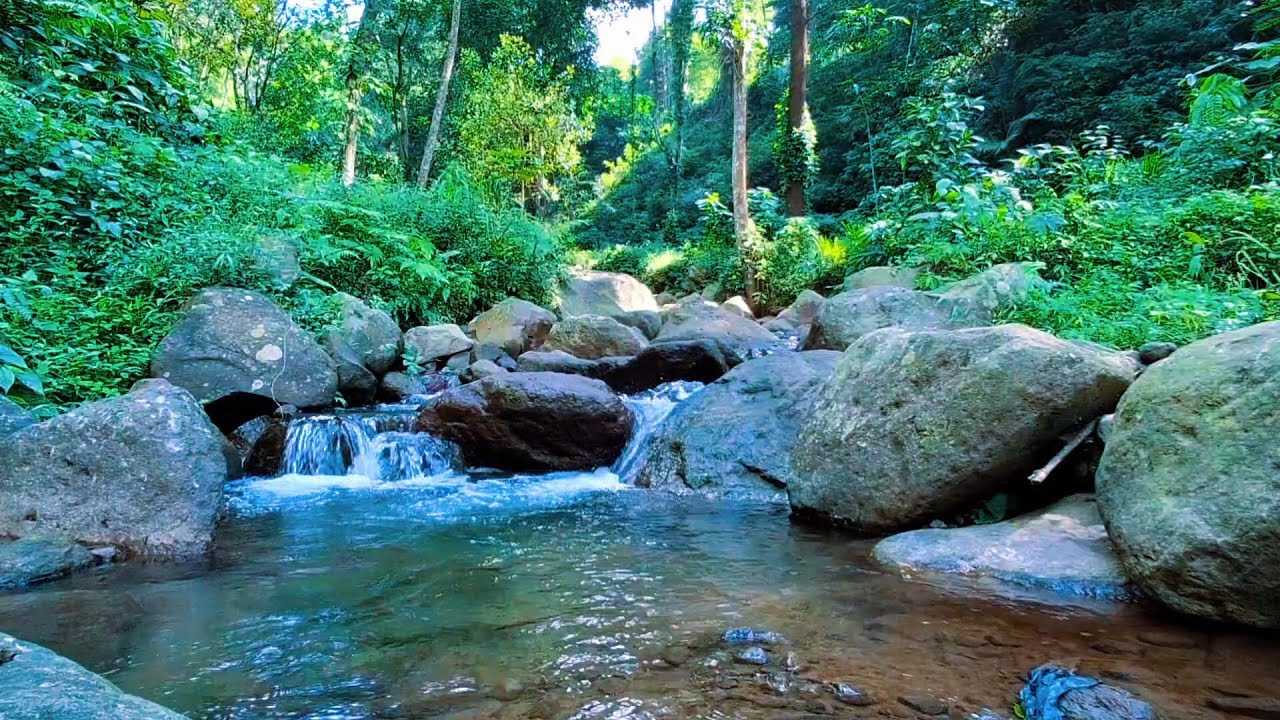 Deep Sleep River Flow for Quiet Nights - YouTube