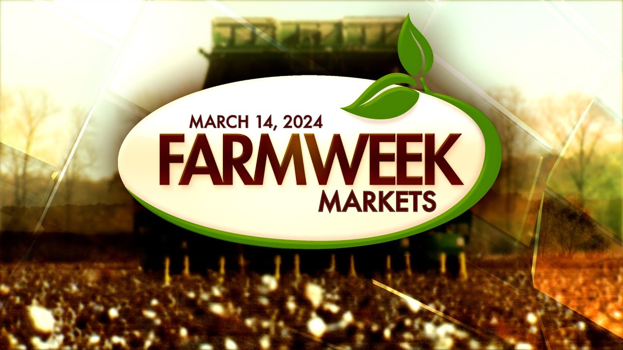 Farmweek Markets | March 14, 2024 - YouTube