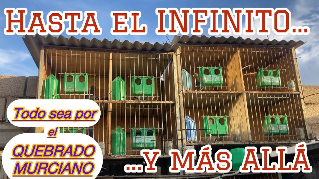 Nos falta poco para alcanzar LAS NUBES☁️ todo por DISFRUTAR de la raza ...