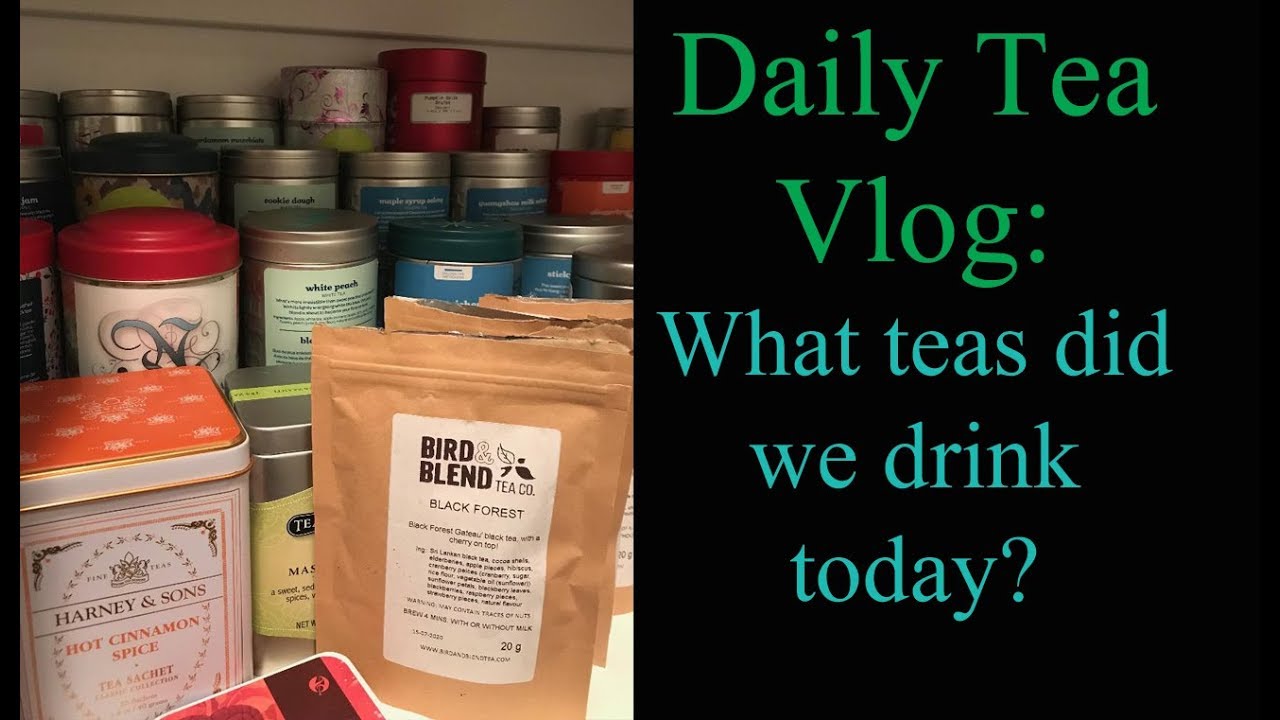 Tea Vlog- Feb. 11 (What teas did we drink today?) - YouTube