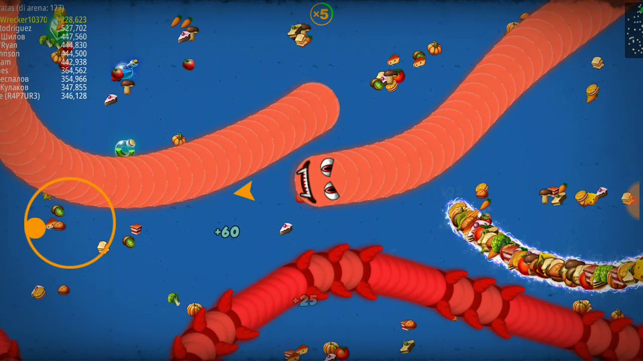 Cacing Terbesar di Dunia - YouTube