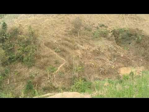 hnub no mus tua nroj yos muaj dab tsi es muaj ib tus me noog dab laug los quaj quaj rau kuv nawb ...