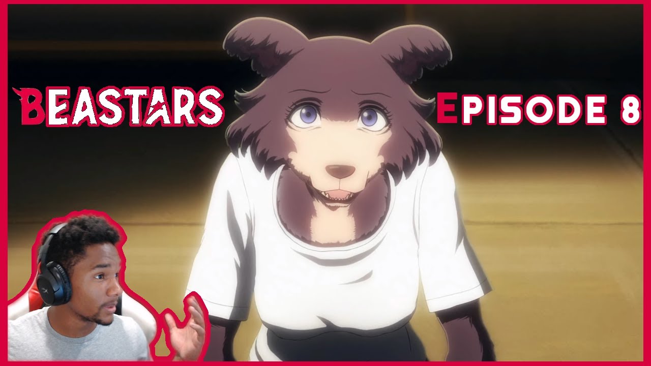 Juno and Louis - Beastars Season 1 - Episode 8 (Reaction) - YouTube