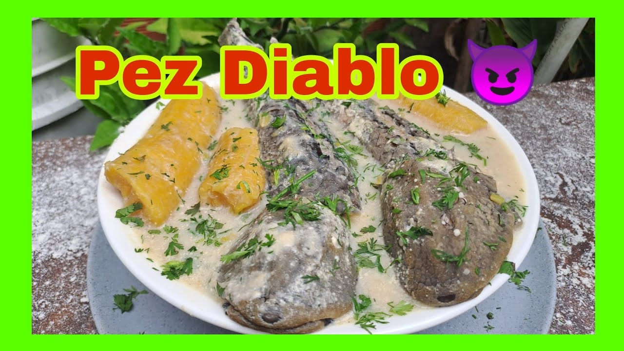 Caldo de Coroncoro o Pez Diablo Levanta Muerto🍆🍆 - Caldo de Cucha.🤤🤤 ...